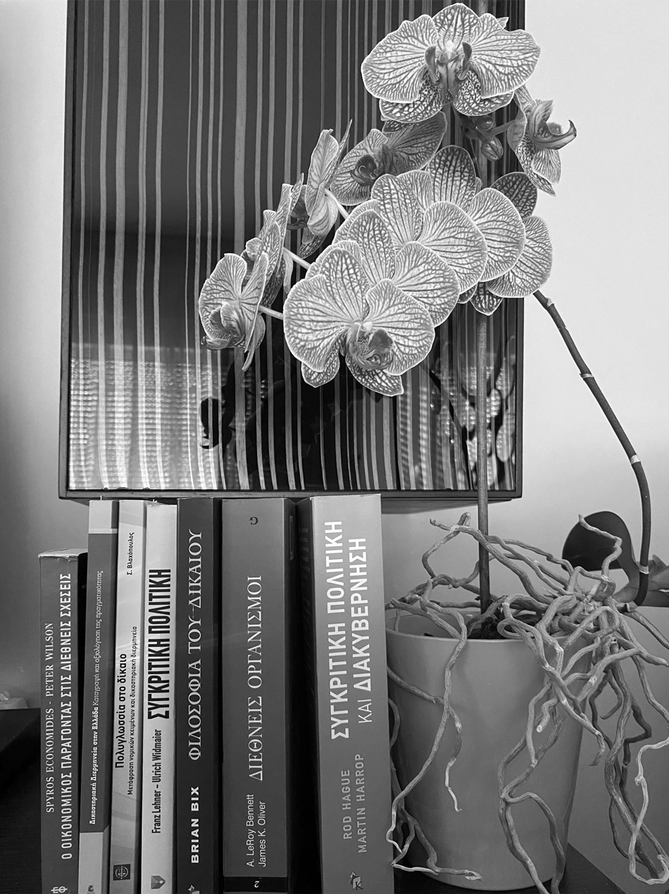 About | Linguistic Bridge